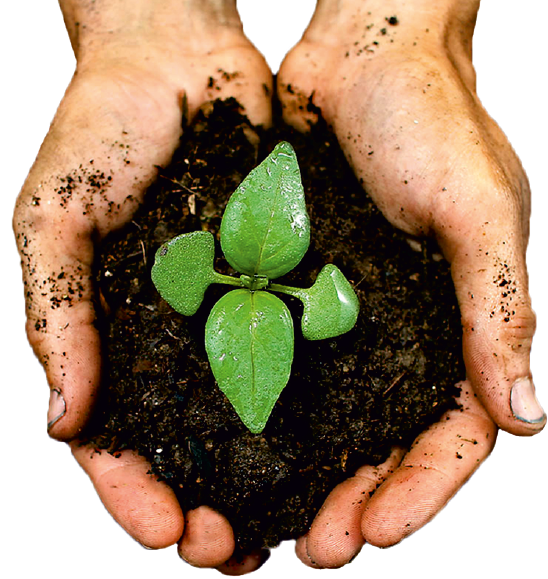 SOIL RENEW IRELAND - Soil Renew